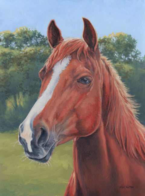 Painting Gallery - Nick Watton ~ artist and illustrator